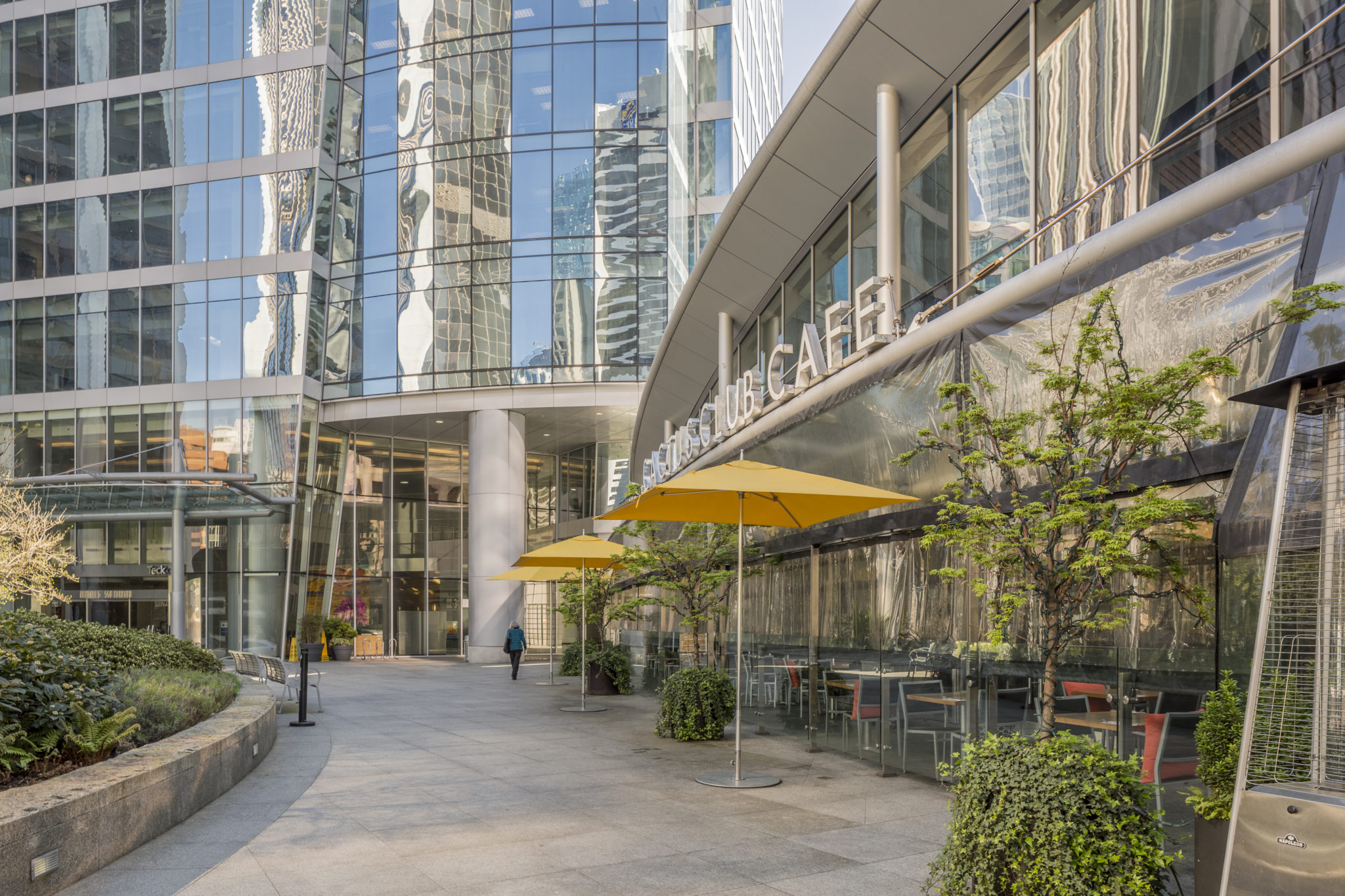 Cactus restaurant - hacrt